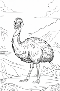 21+ Free Emu Coloring Pages – Printable Fun for All Ages!
