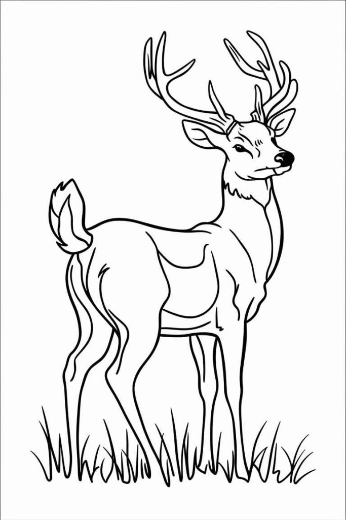 27+ Free Deer Coloring Pages for Kids & Adults to Print(PDFs)