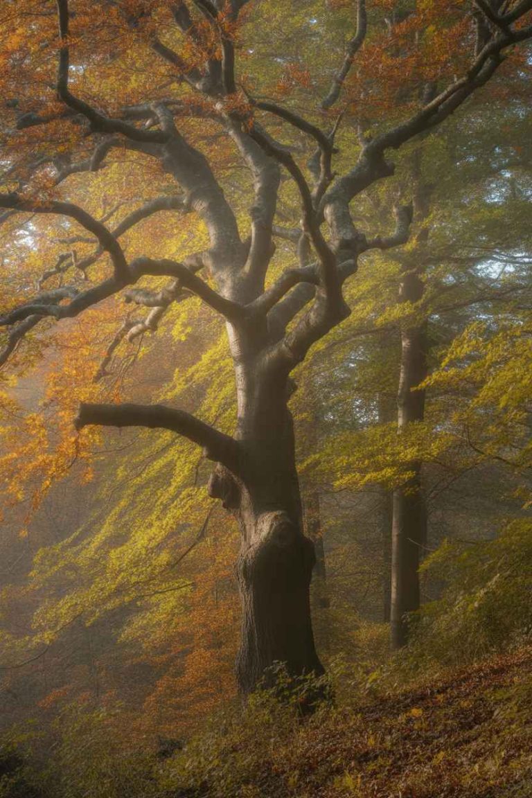 55+Welcome Fall Coloring Pages | Free Autumn Printables